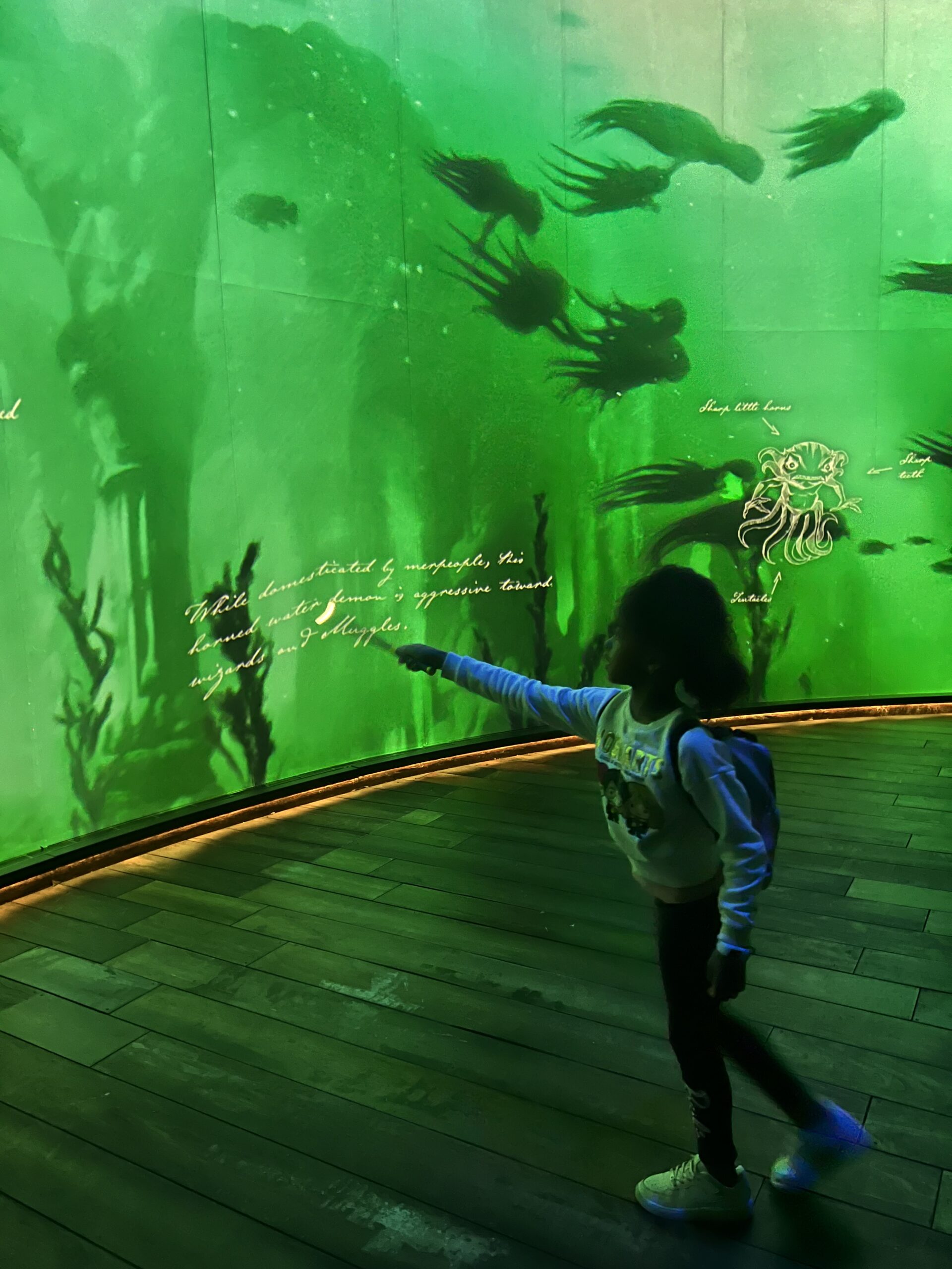 Cologne’s Harry Potter: Visions of Magic Experience – A REVIEW – Kiddo ...