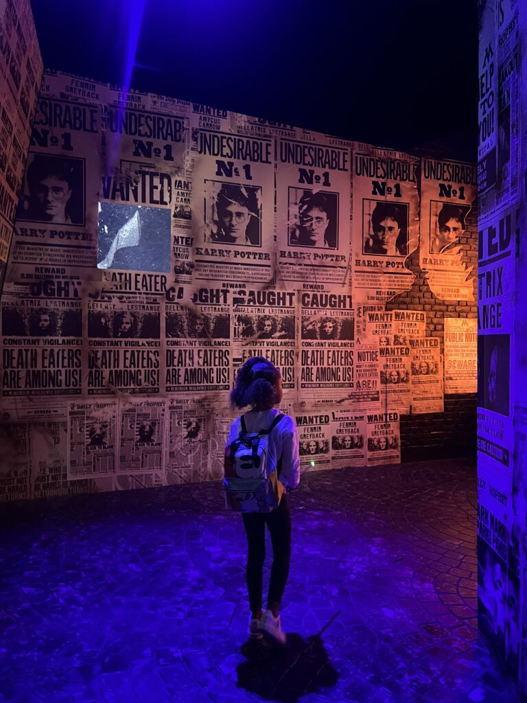 Cologne’s Harry Potter: Visions of Magic Experience – A REVIEW – Kiddo ...